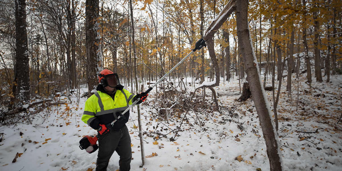 Prune like a Pro: An Arborist’s Guide to Winter Pruning — Russo Power ...