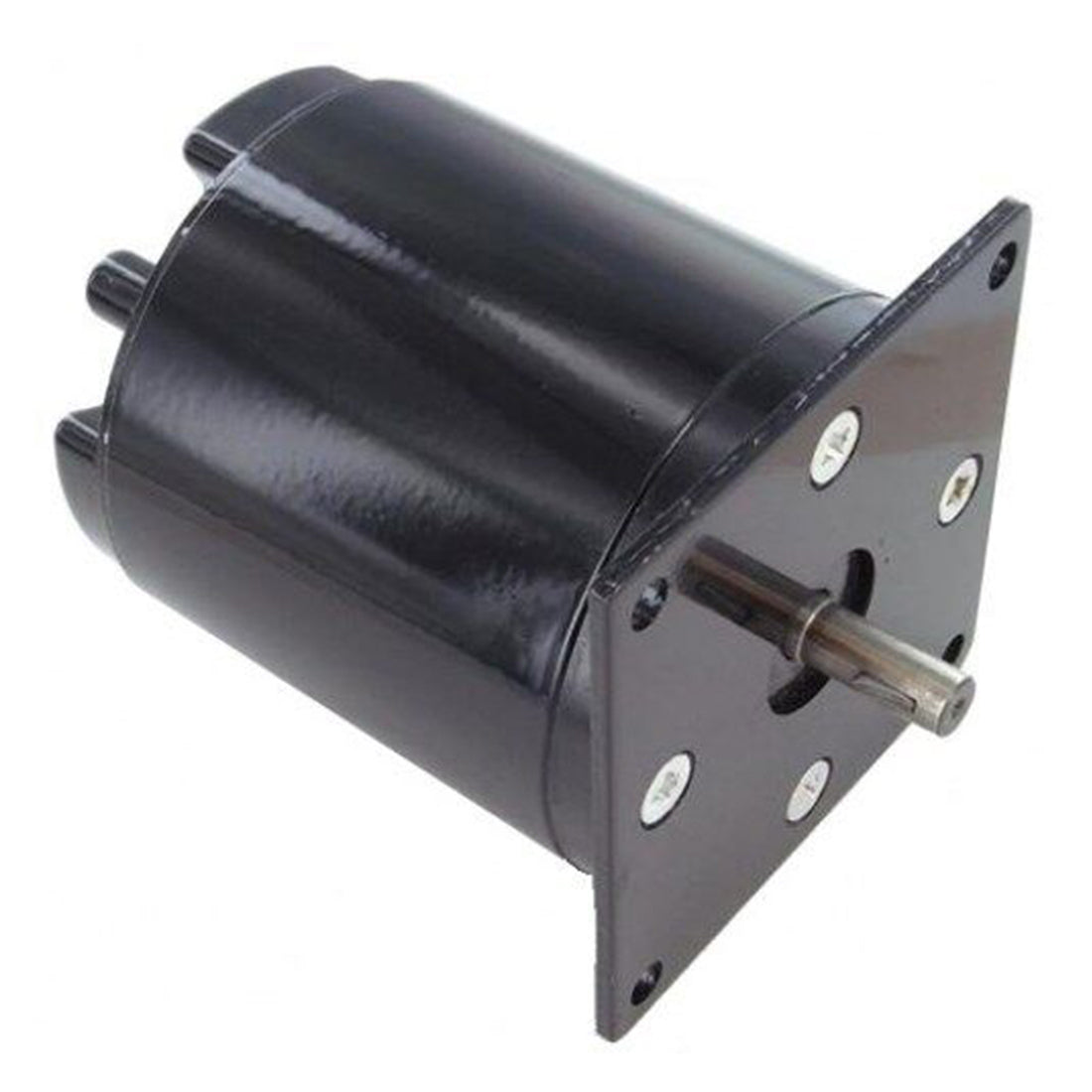 MaxxMotor 50087 Salt Spreader Motor 12V — Russo Power Equipment